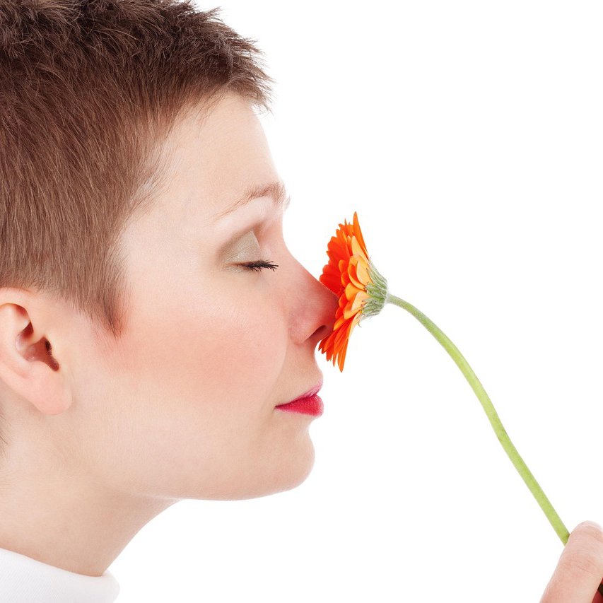 smell - 3 irregular verb forms (V1, V2, V3)