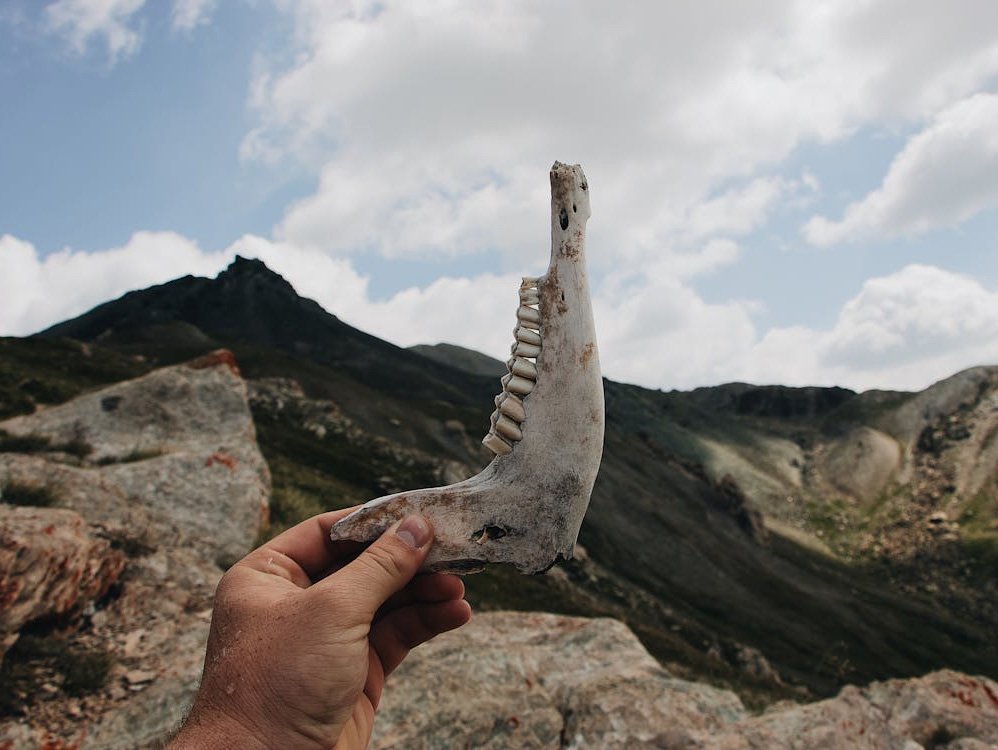 find - 3 irregular verb forms (V1, V2, V3)