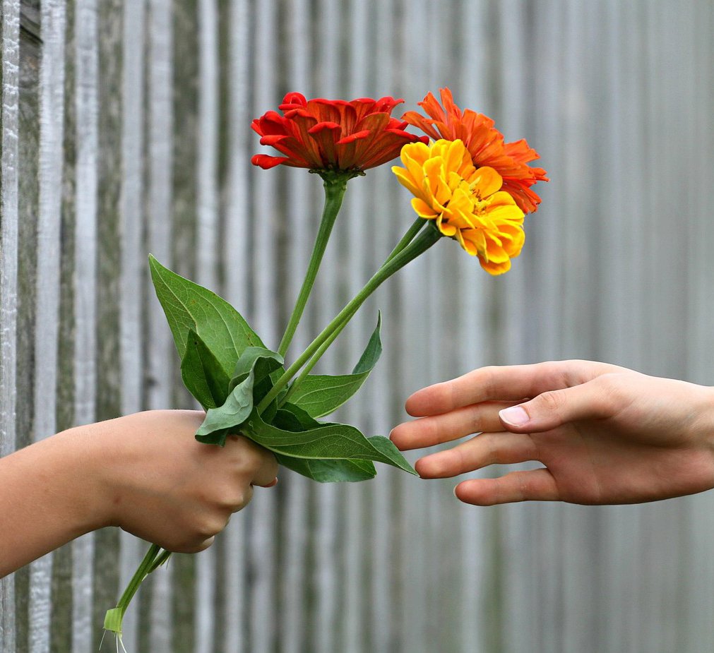 give - 3 irregular verb forms (V1, V2, V3)