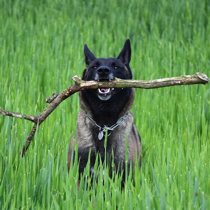 bring - 3 irregular verb forms (V1, V2, V3)