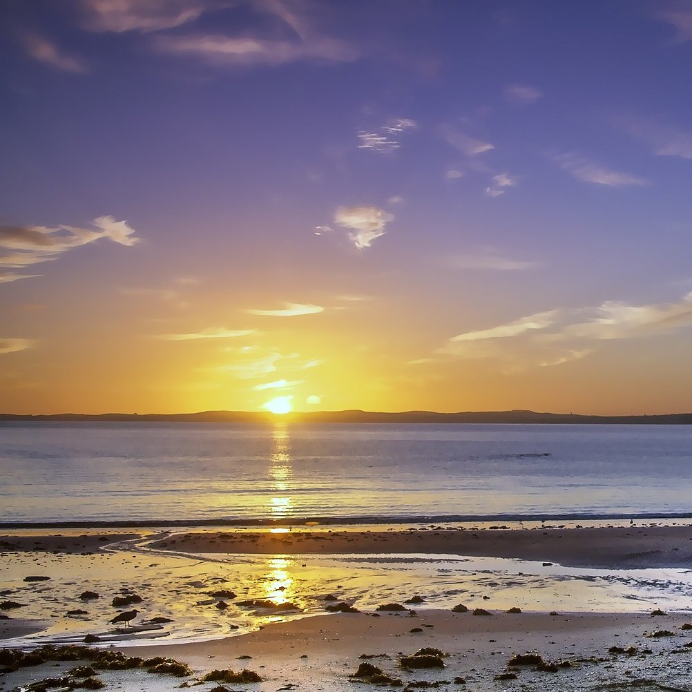 rise - 3 irregular verb forms (V1, V2, V3)